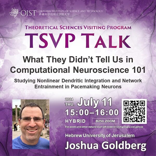 TSVP Talk: "What They Didn’t Tell Us in Computational Neuroscience 101" by Joshua Goldberg ...